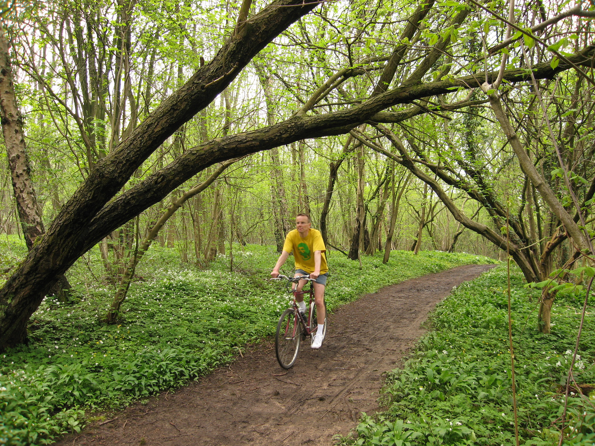 Orbit of Harrogate and Knaresborough - Pub Walks & Bike Rides - Timothy ...