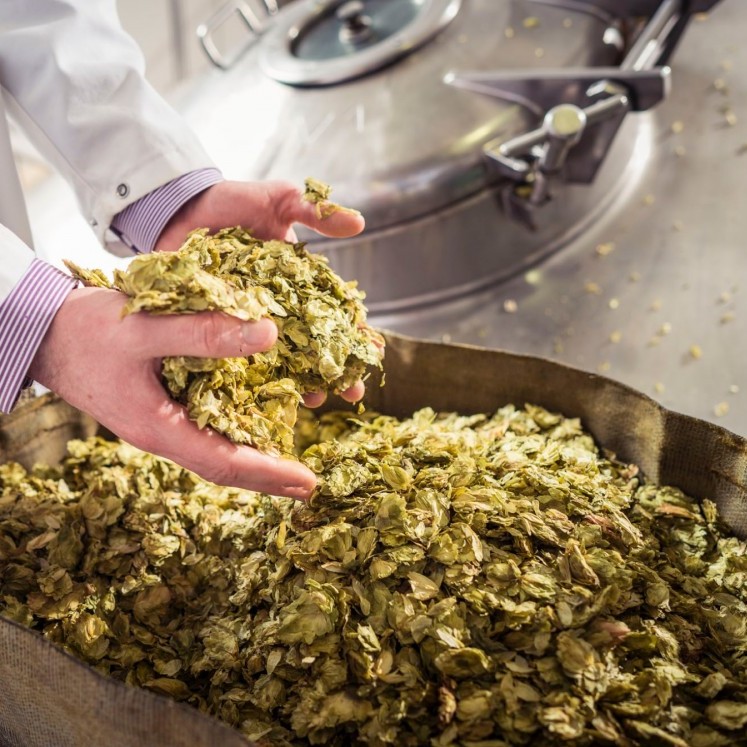 Taste of Taylor's - Timothy Taylor's