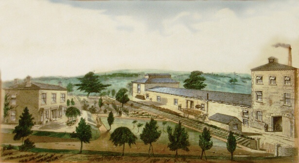 Our History - Timothy Taylor's