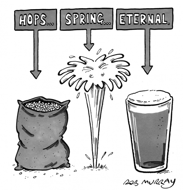 Taylor's Tales Cartoons - Timothy Taylor's